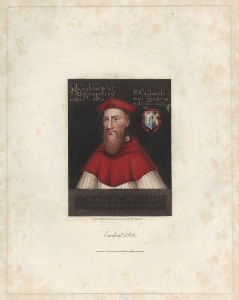 Reginald Pole Portrait Print – National Portrait Gallery Shop