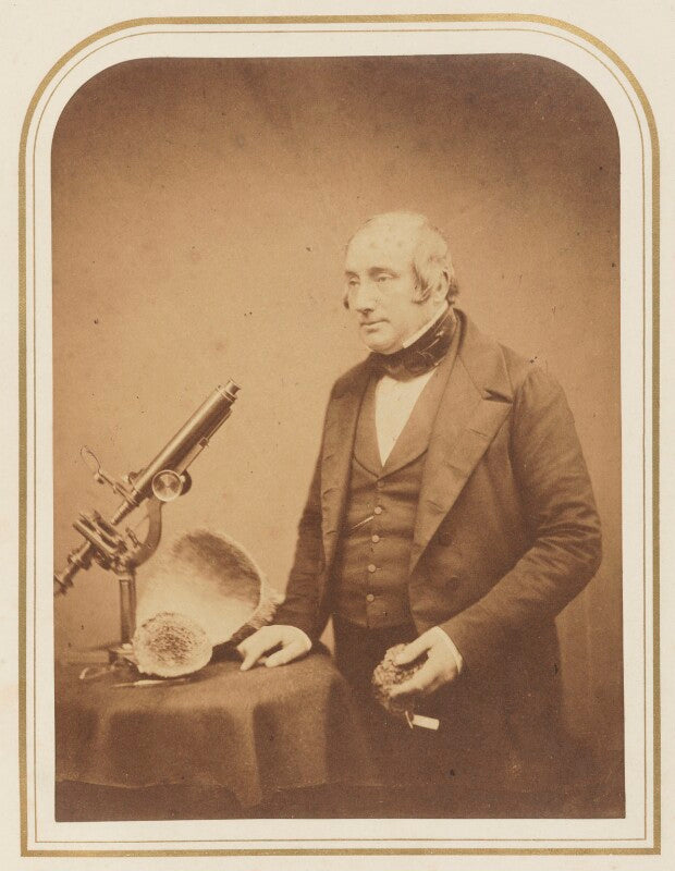 James Scott Bowerbank Portrait Print – National Portrait Gallery Shop