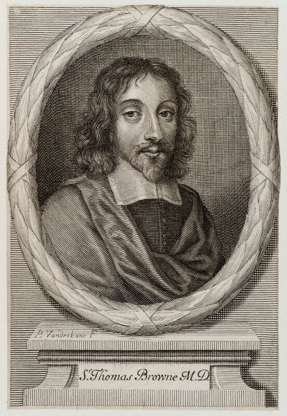 Sir Thomas Browne Portrait Print – National Portrait Gallery Shop