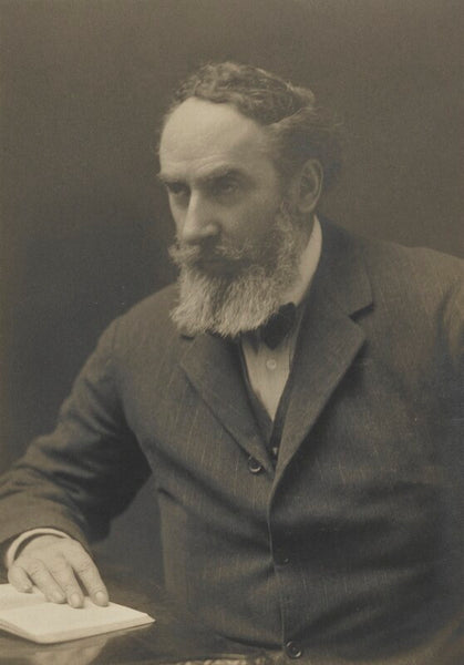 Ernest Arthur George Pomeroy, 7th Viscount Harberton Portrait Print ...