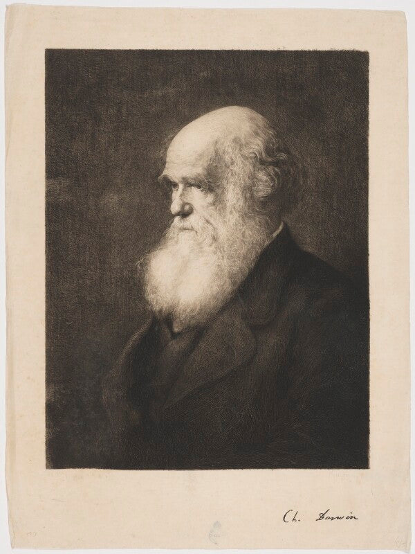 Charles Darwin Portrait Print – National Portrait Gallery Shop