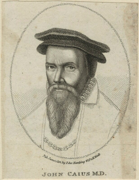 John Caius Greetings Card – National Portrait Gallery Shop